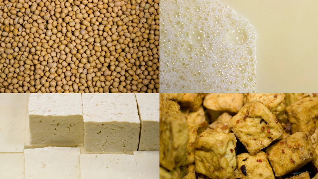 Plant protein picks that power your day
