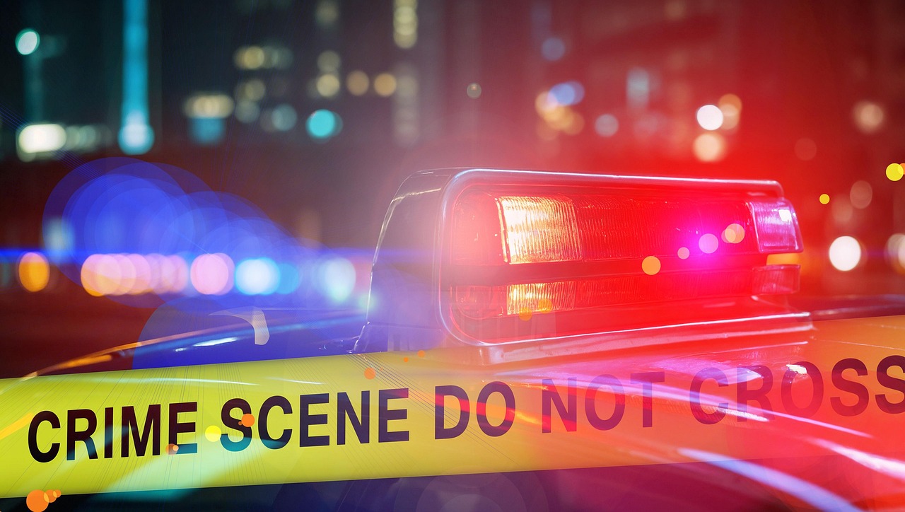 Inside Phoenix murder-suicide: Mom kills her 2 kids after shooting at ...