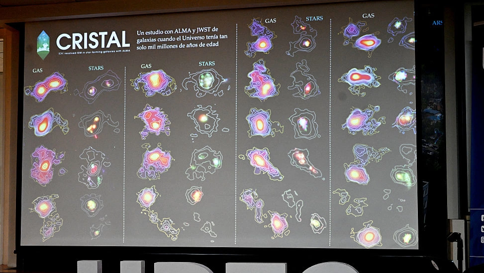 Galaxies in ancient Loktak protocluster found to be larger