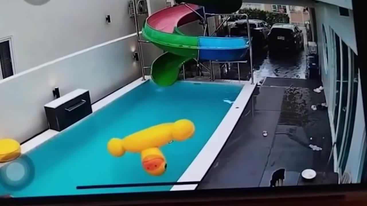 Hero dad saves daughter being electrocuted by back yard swimming pool pump