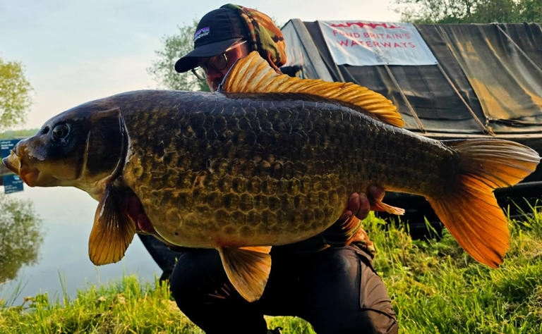 Giant canal ghost carp banked after 20-minute battle