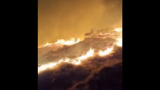 Man-made blaze near Morni Hills sparks forest fire scare; two suspects ...
