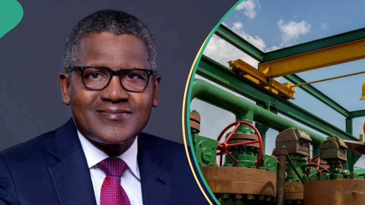 Revealed: Why Dangote Refinery reversed fuel price slash