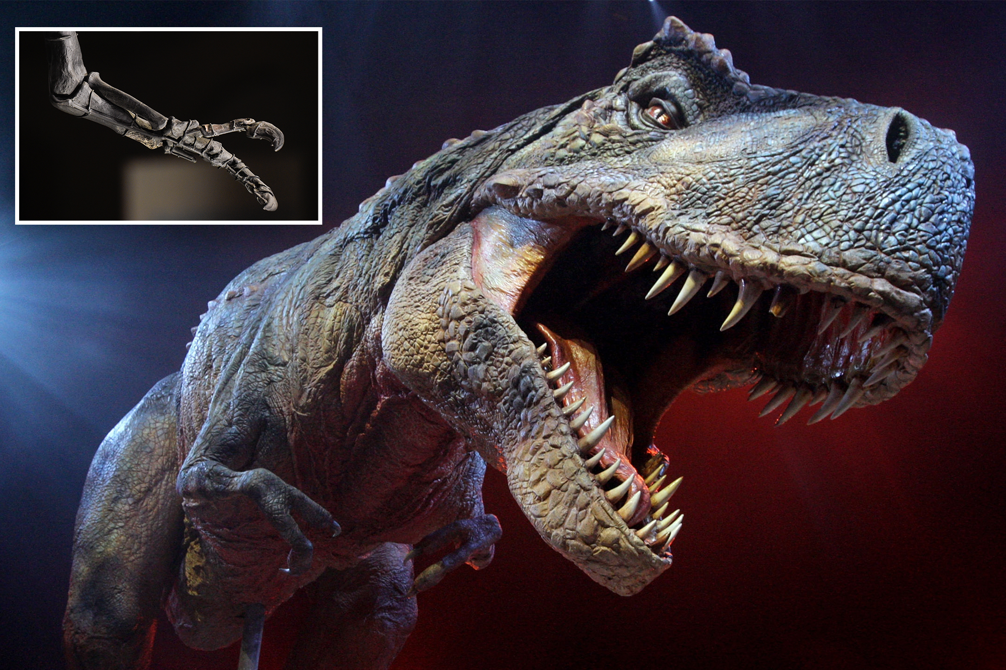 Scientists may have finally cracked the mystery of why T rex had such ...