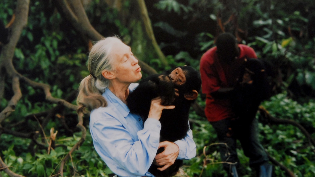 How AI is rewriting the primate playbook