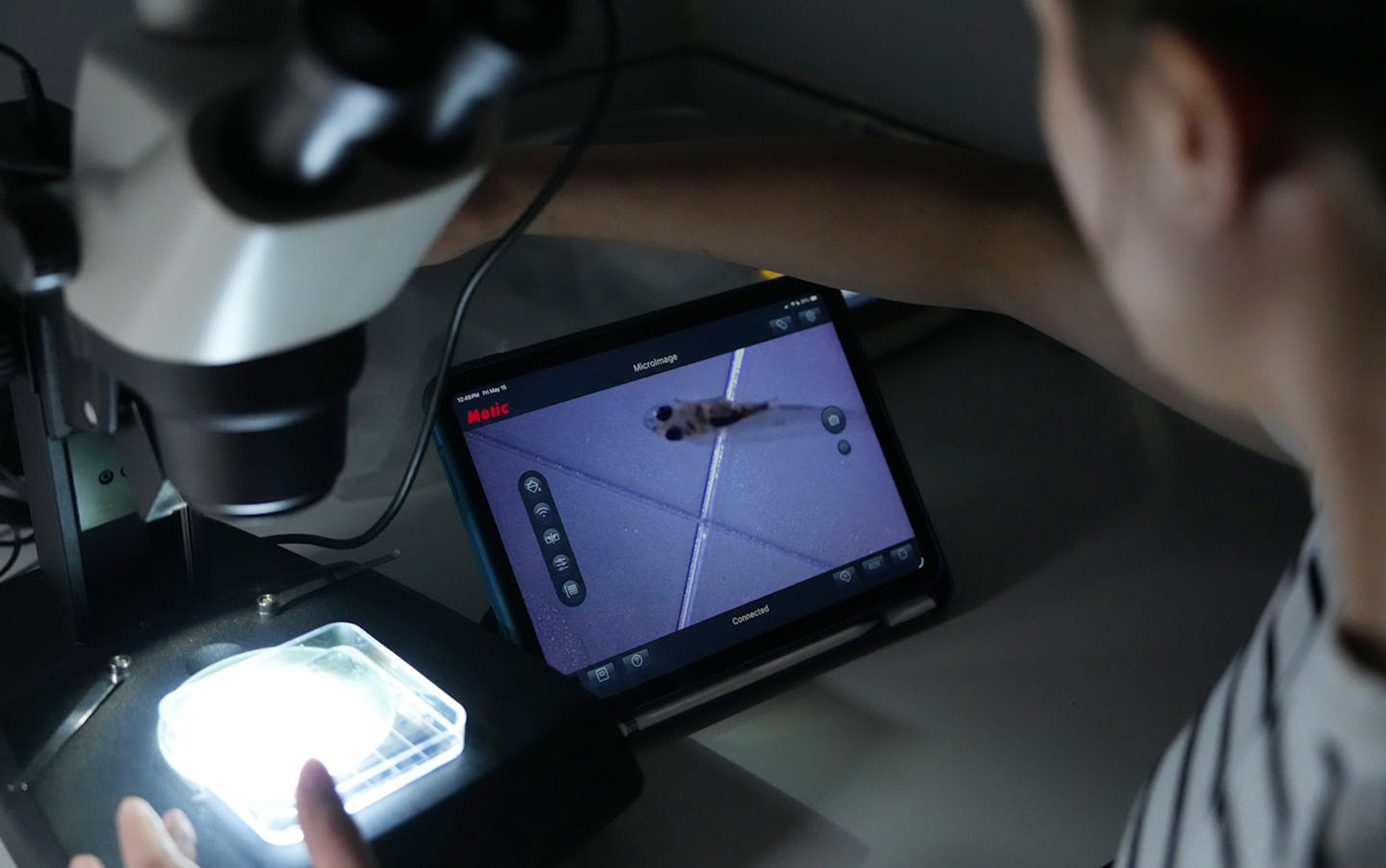 Minnesota scientists are unraveling the mystery behind the state’s ...