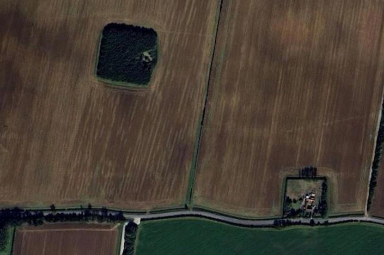 Plans for 32,000-bird egg production site submitted to council