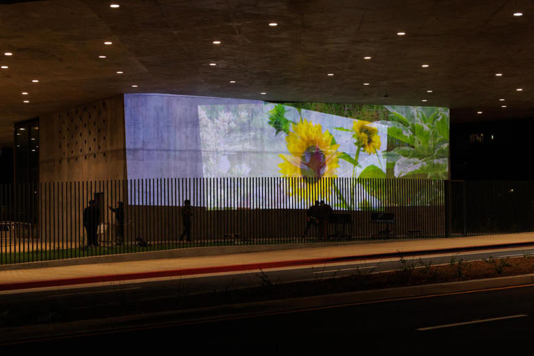'The future of art': A first look at the video installation that'll ...