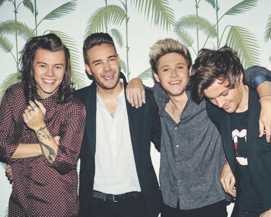 Niall Horan’s Harry Styles wedding RSVP just set One Direction fans off