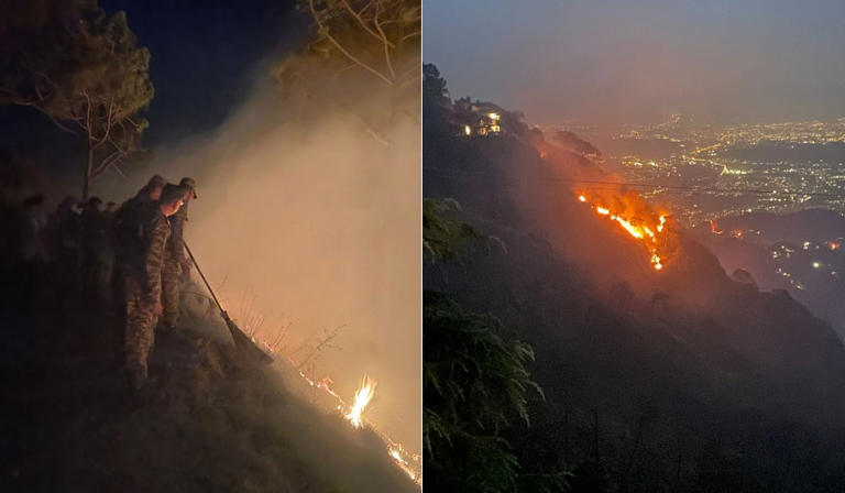 Indian Army, IAF contain forest fire in Himachal's Kasauli after 15 ...