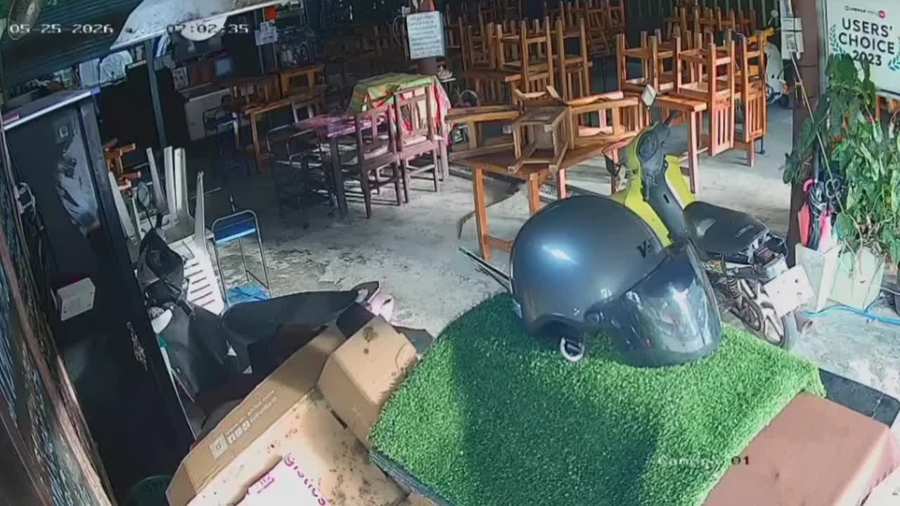 Cat startled when giant monitor lizard wanders through restaurant