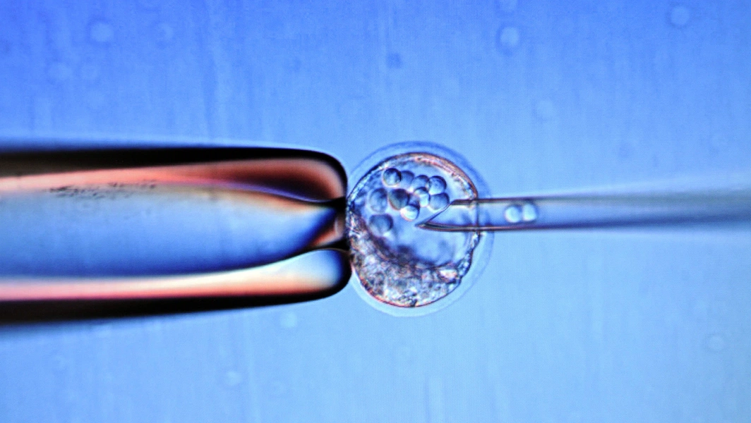 China launches synthetic human embryo models to space