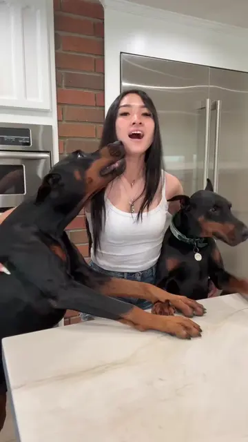 What my three Dobermans eat for raw dinner