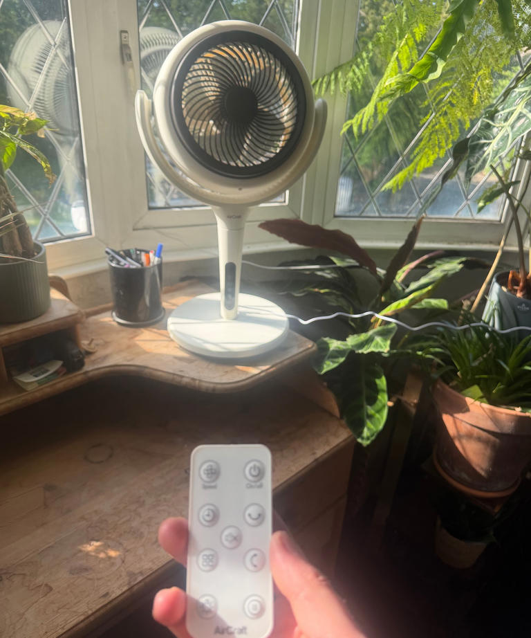 Why I ditched my fan for an air circulator in a heatwave (and won't ...