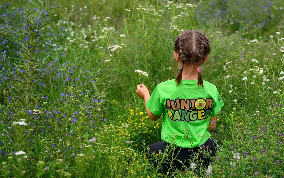 Half-term nature activities bring outdoor learning to children