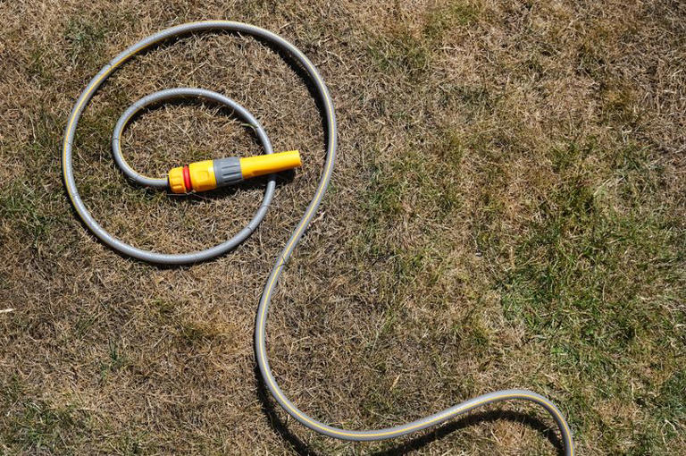 Simple gardening habit to stop grass from turning brown and patchy in ...