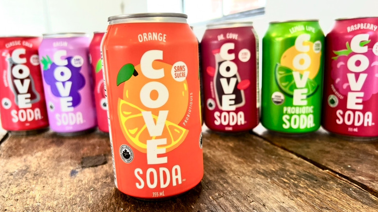 Every Cove probiotic soda flavor, ranked