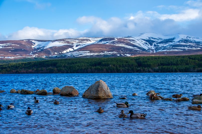 Vast Scottish national park named among world's top cold water swim spots
