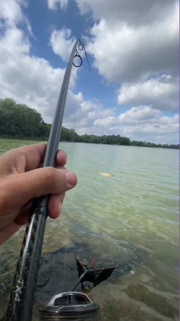 Carp fishing viral catch