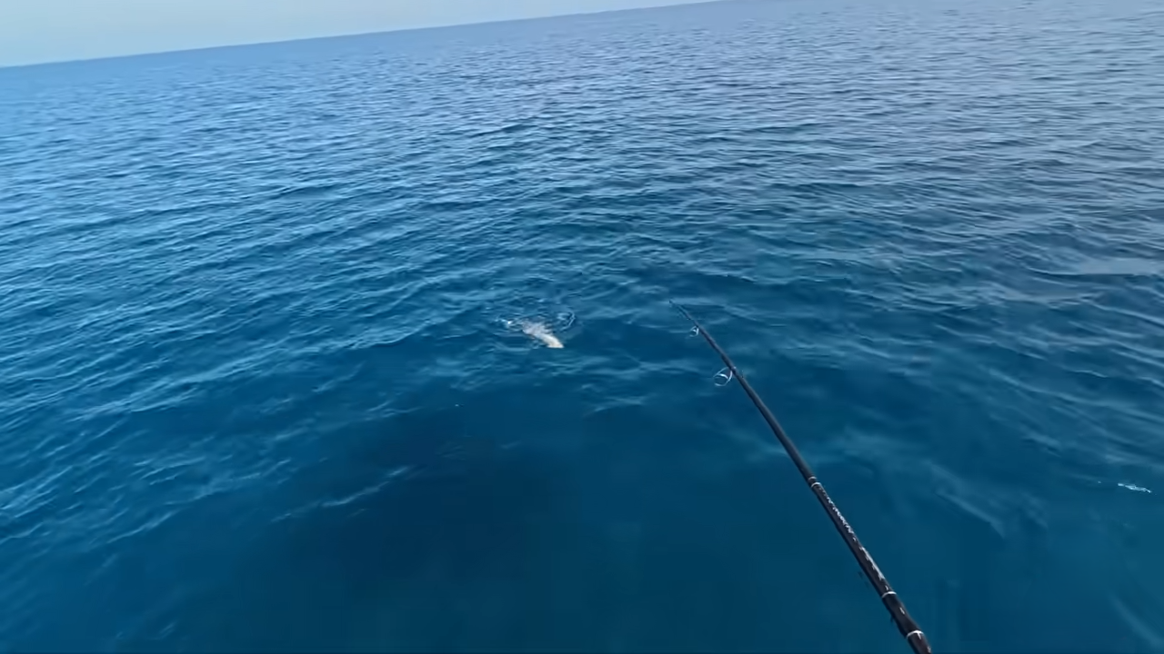 He thought it was another fishing day until large fish started ...
