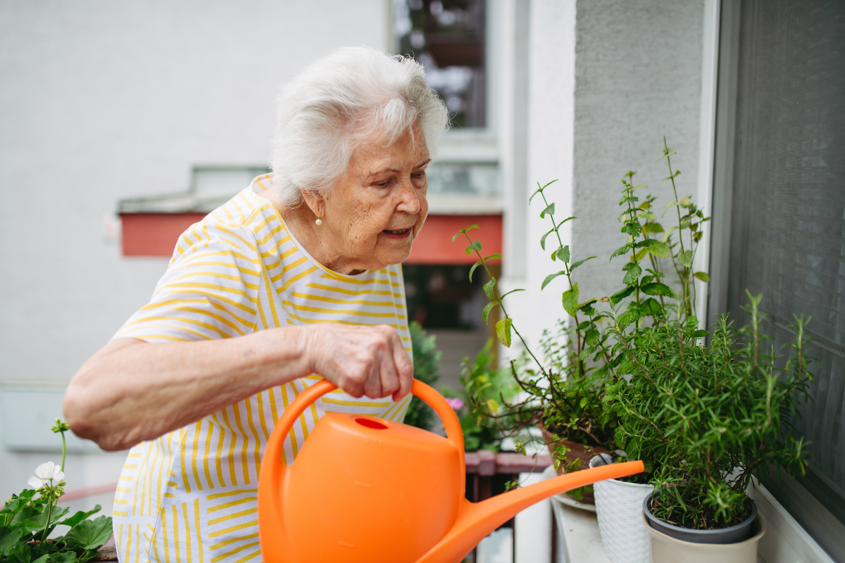 Say goodbye to ants, these 4 plants keeps them away from your garden ...