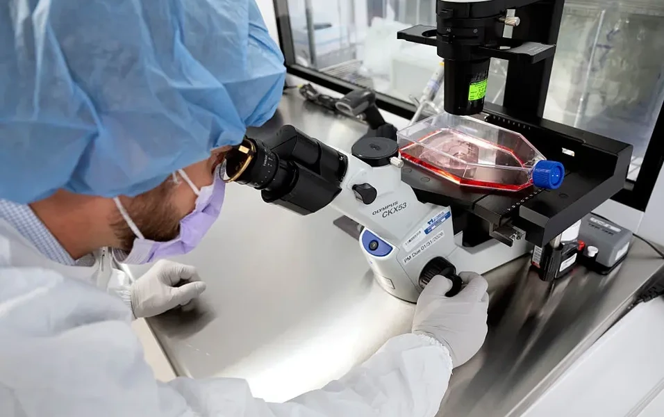 Scientists find genetic 'off switch' to boost CAR T cells
