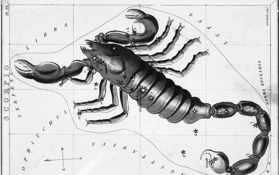 Scorpio forecast points to creative surge and financial gains