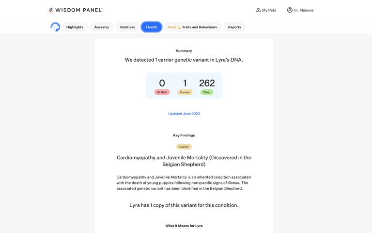 Are dog DNA kits worth their expensive price tags – and can you trust ...