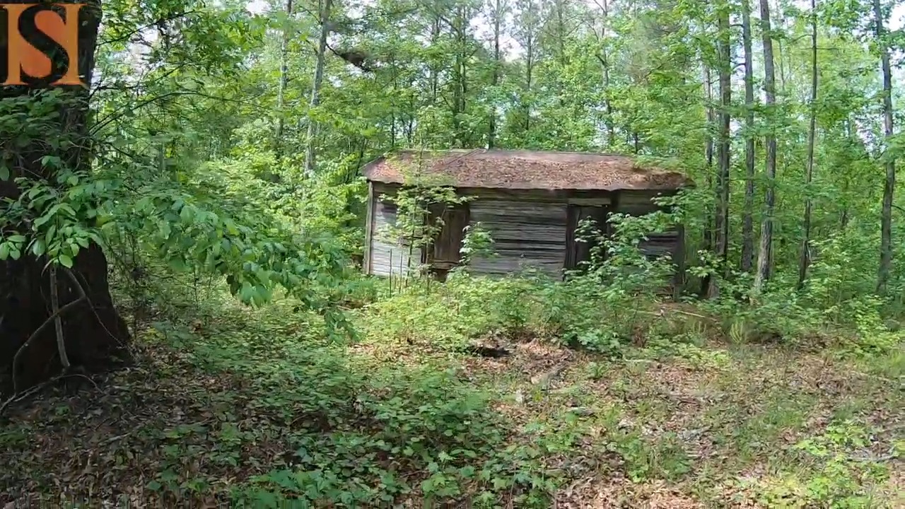 This forgotten house looked empty - until the dirt by the chimney ...