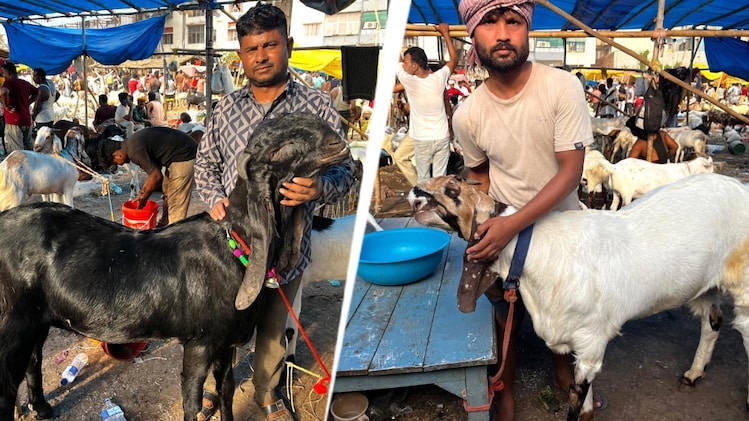 Goats sell for ₹2.4 lakh in Patna market! Know more about 'Salman ...