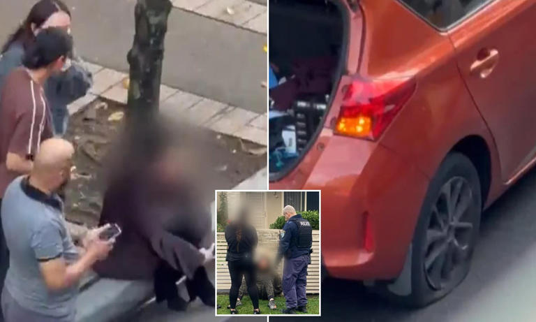 Woman who was the victim of alleged abduction attempt believes she was ...