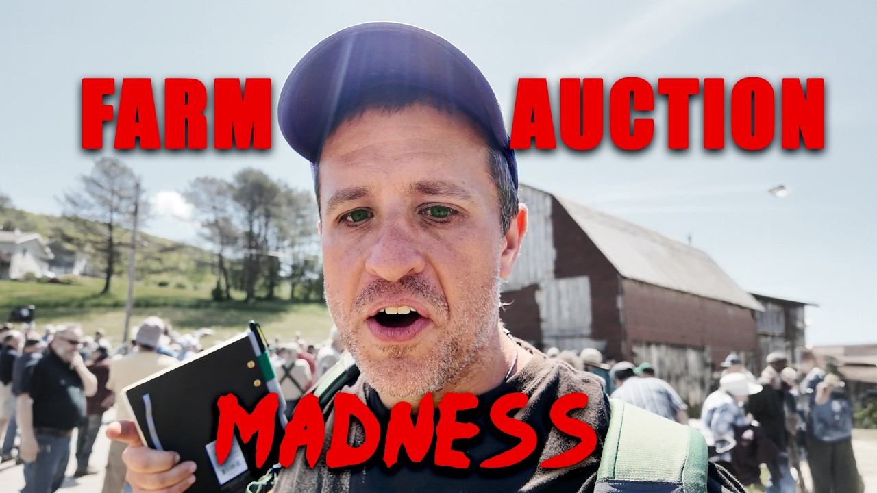Find out why unpredictable farm auctions feature skyrocketing prices ...