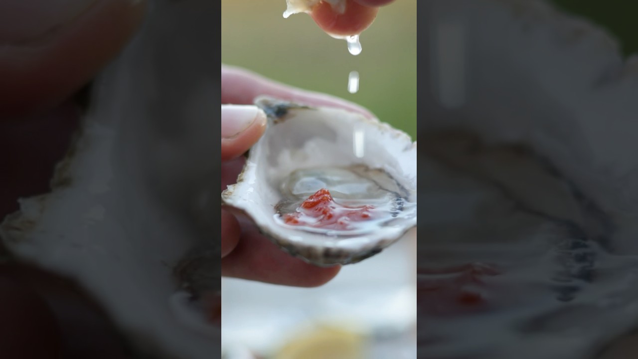 Explore the world of fresh oysters, clams and tinned fish