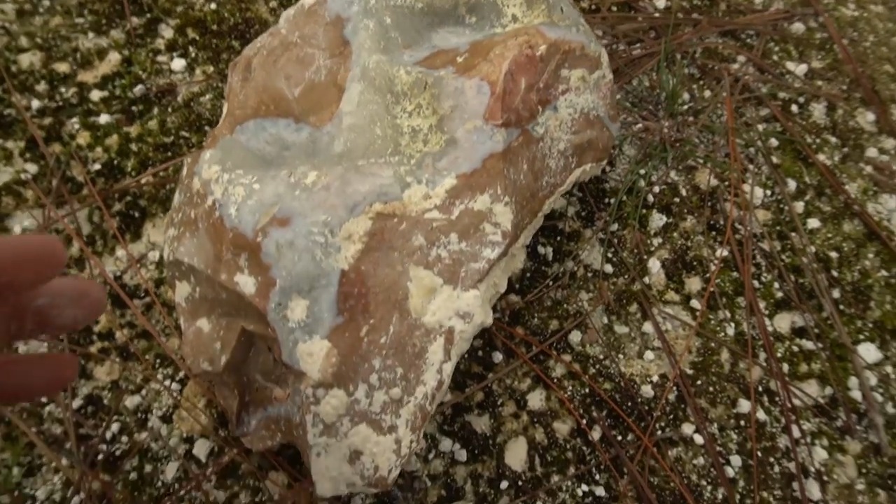 He went rockhounding on a Florida road - then agate banding and ...