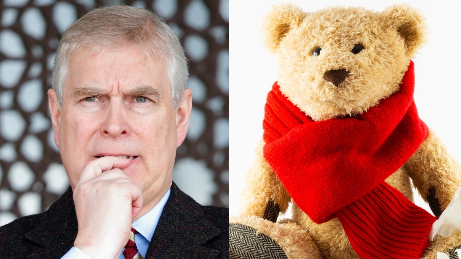 ‘Giant man baby’: Prince Andrew ridiculed over bizarre teddy bear obsession