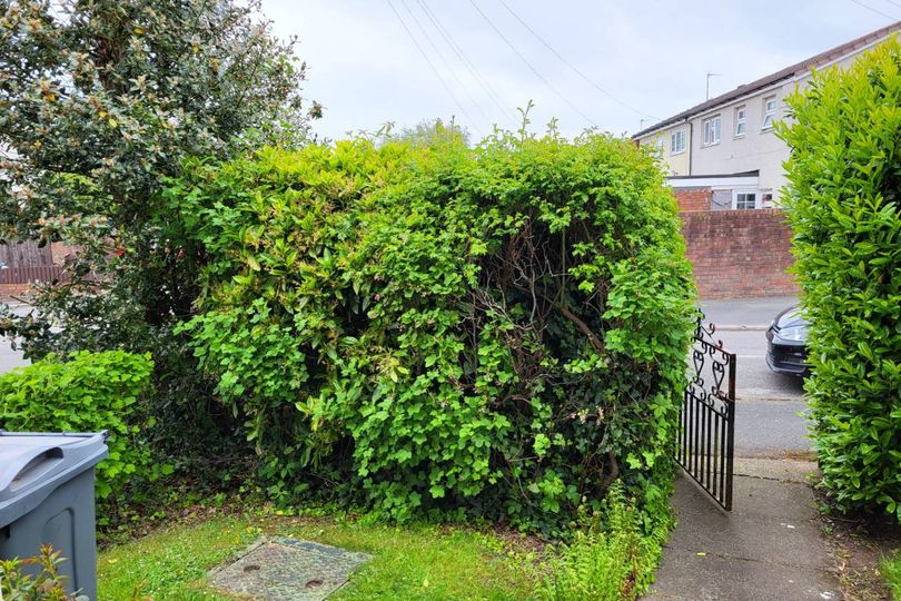 New neighbours moved in and want me to cut my front hedge down immediately