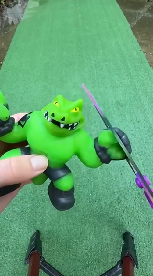 Gator flooded my garden, what happens next is crazy