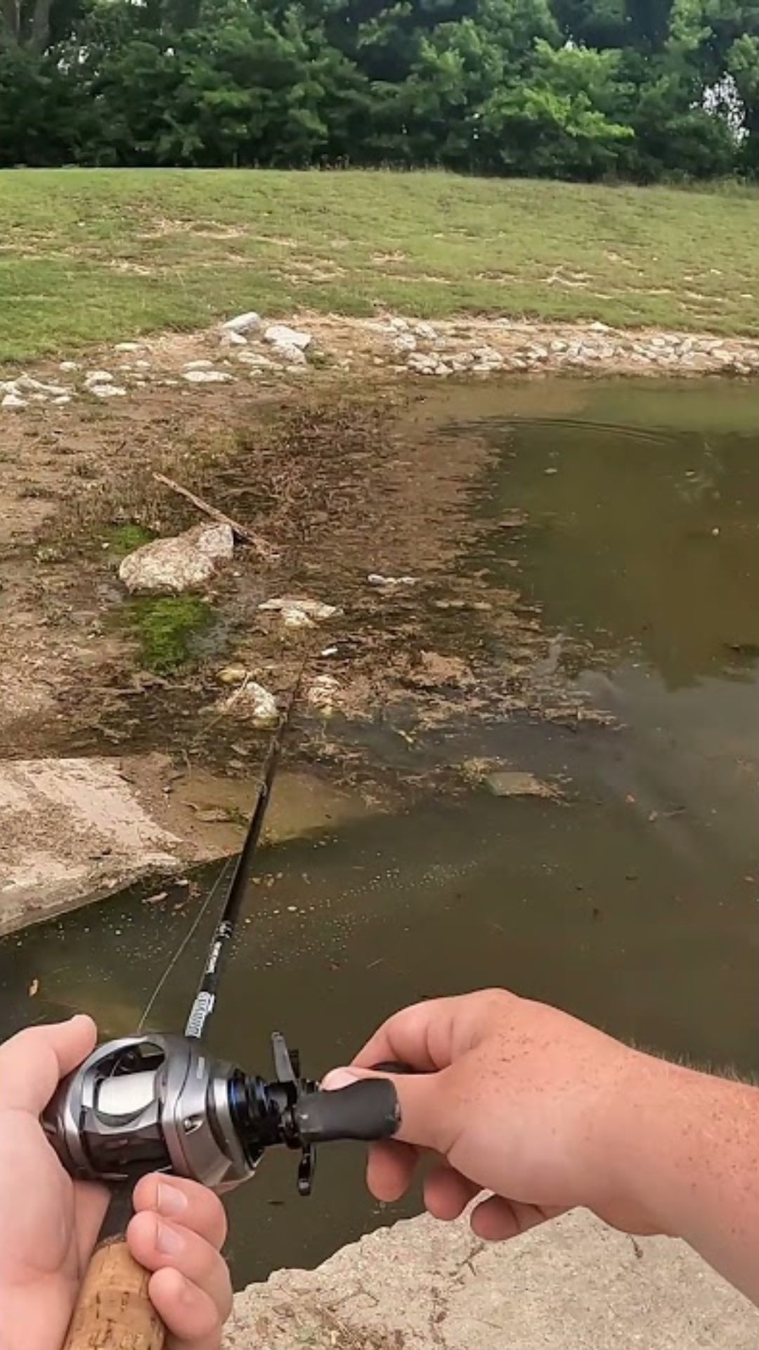 Megabass Karashi 2.3 inch my new favorite BFS bass fishing lure