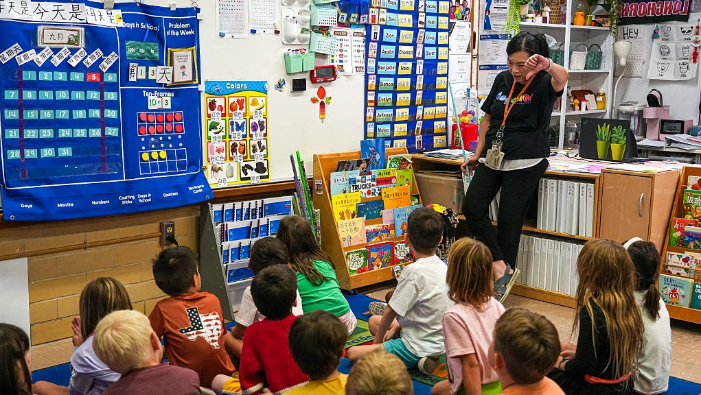Learning languages in the digital age