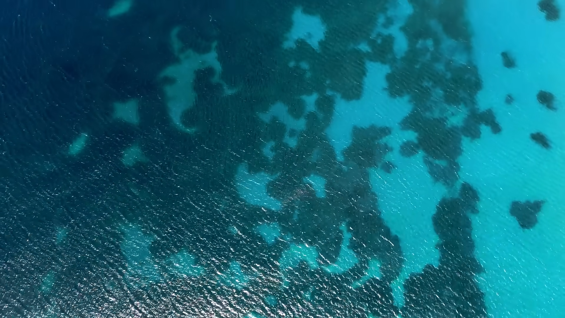 The continents missing from Google Maps may be hiding the next global ...
