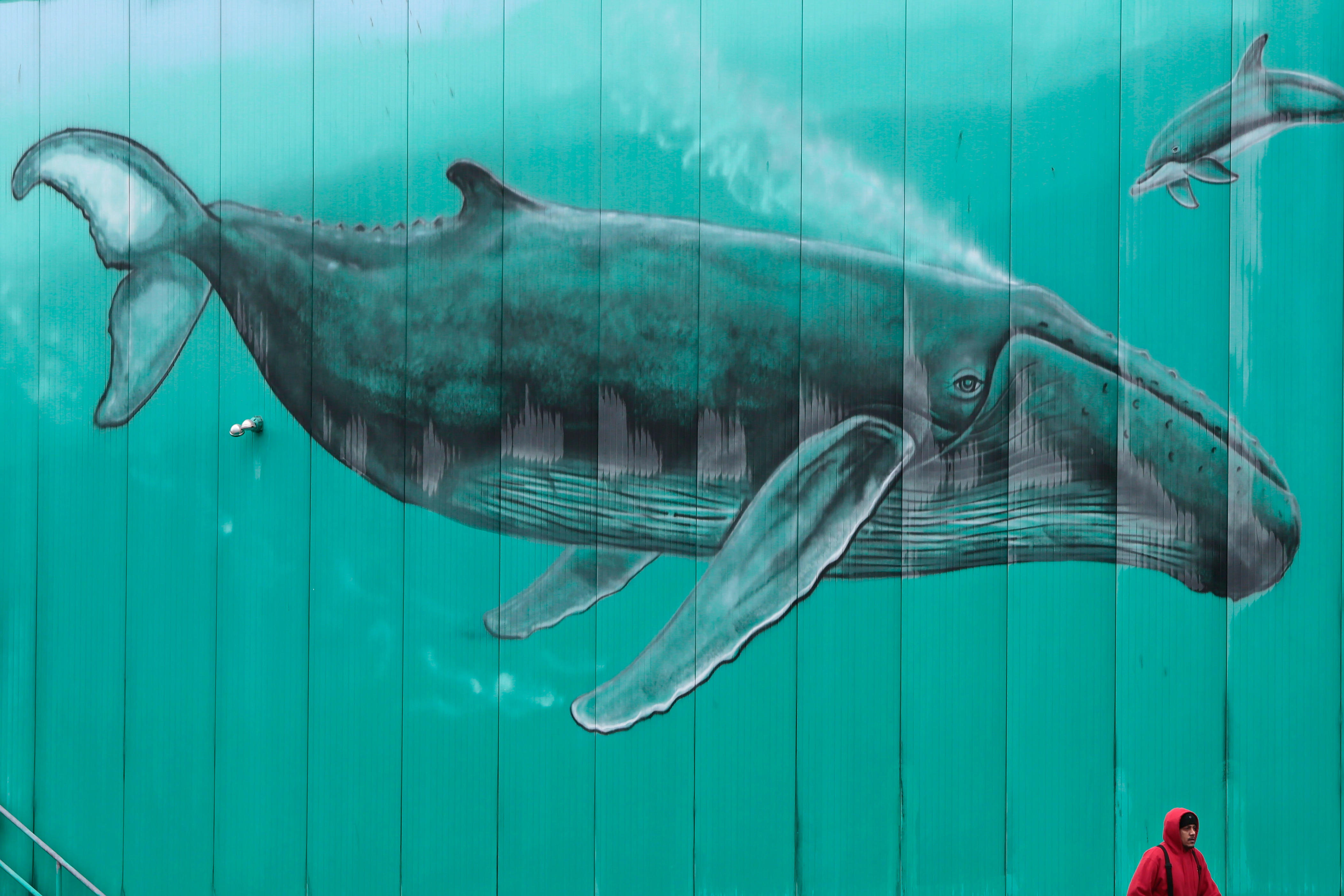 New Bedford’s whaling wall remains as Dallas loses beloved Wyland mural
