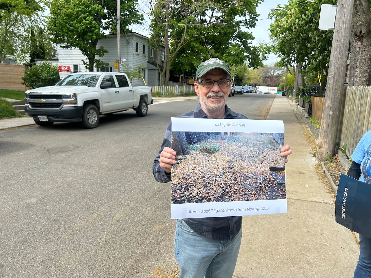 For some residents across Toronto, this tree's fruit is anything but sweet