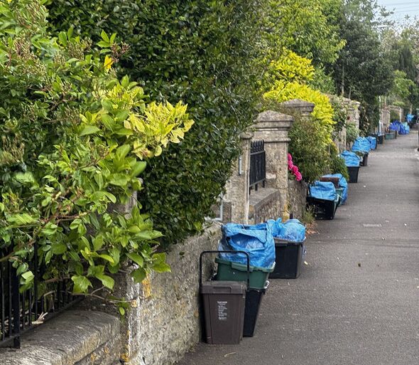 9 household items you should never put in normal bin bags