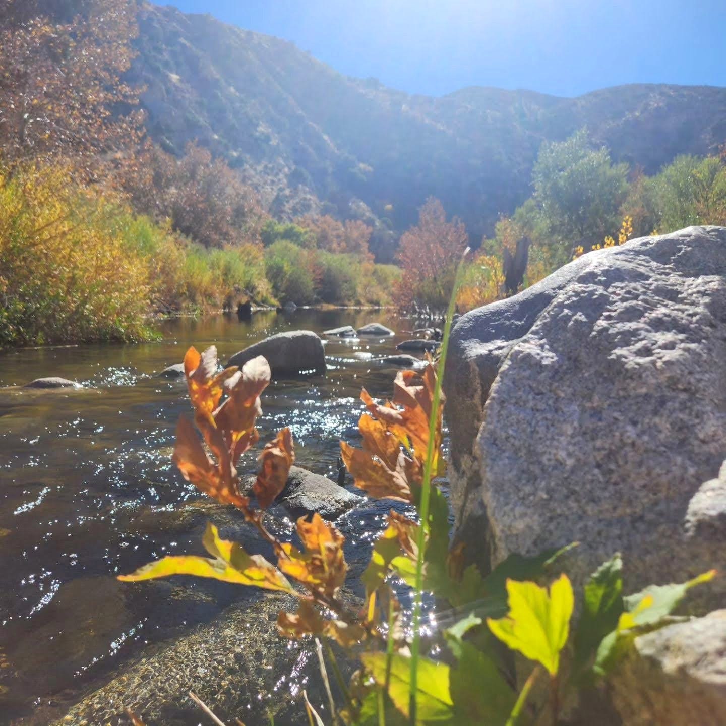 Dozens of hikers fall ill along Pacific Crest Trail near Wrightwood