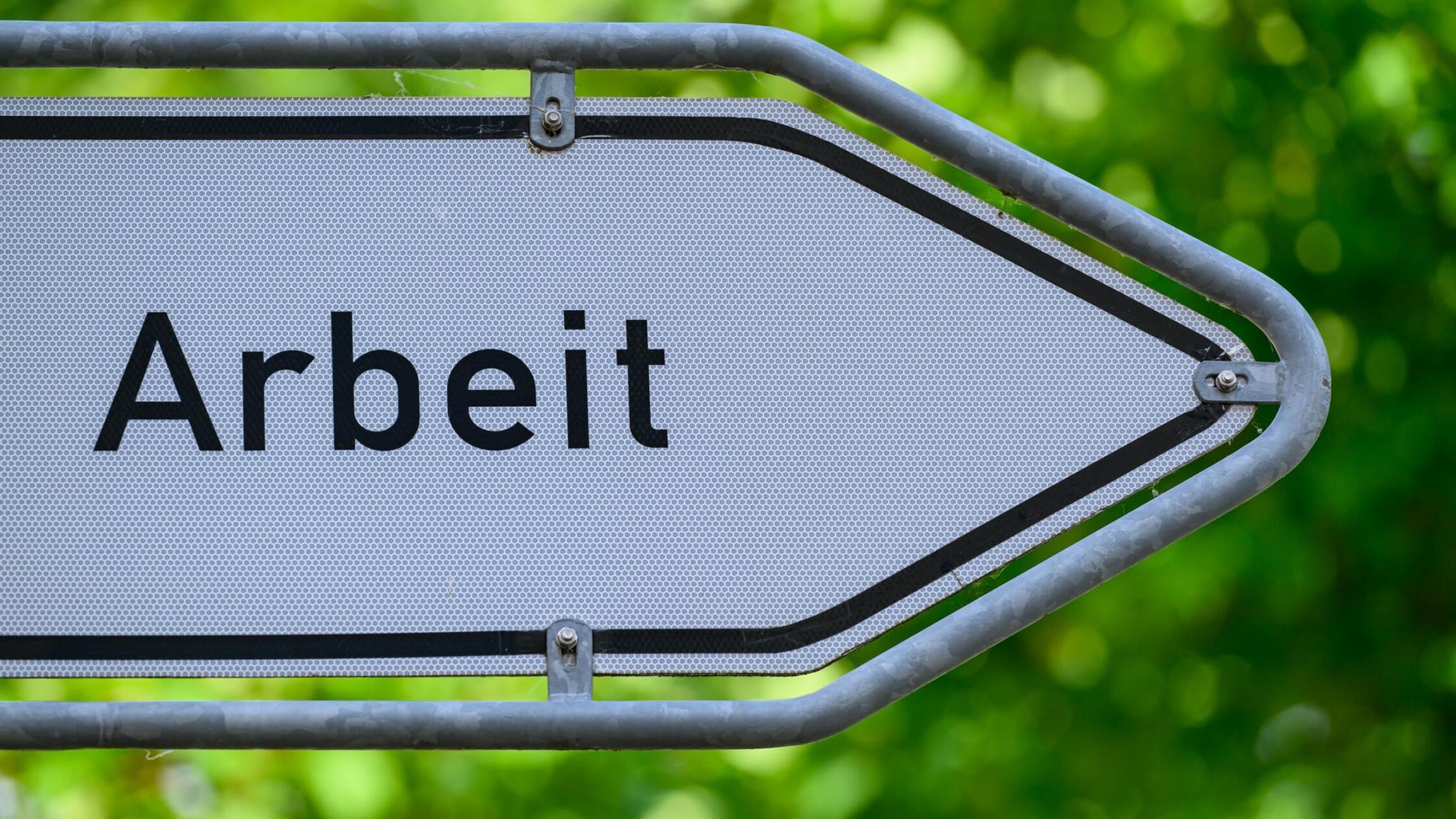 Je höher die Bildung, desto länger verdient man Geld
