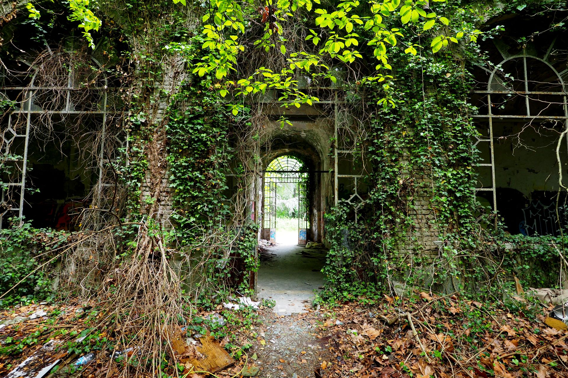 Inside the hidden world of urban explorers: danger, decay and forbidden ...