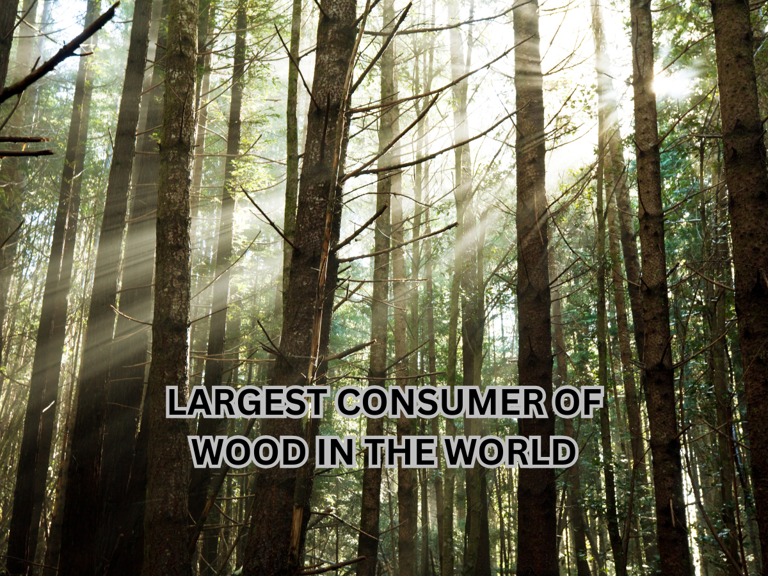 Which Country has Largest consumer of Wood in the World? Check the ...