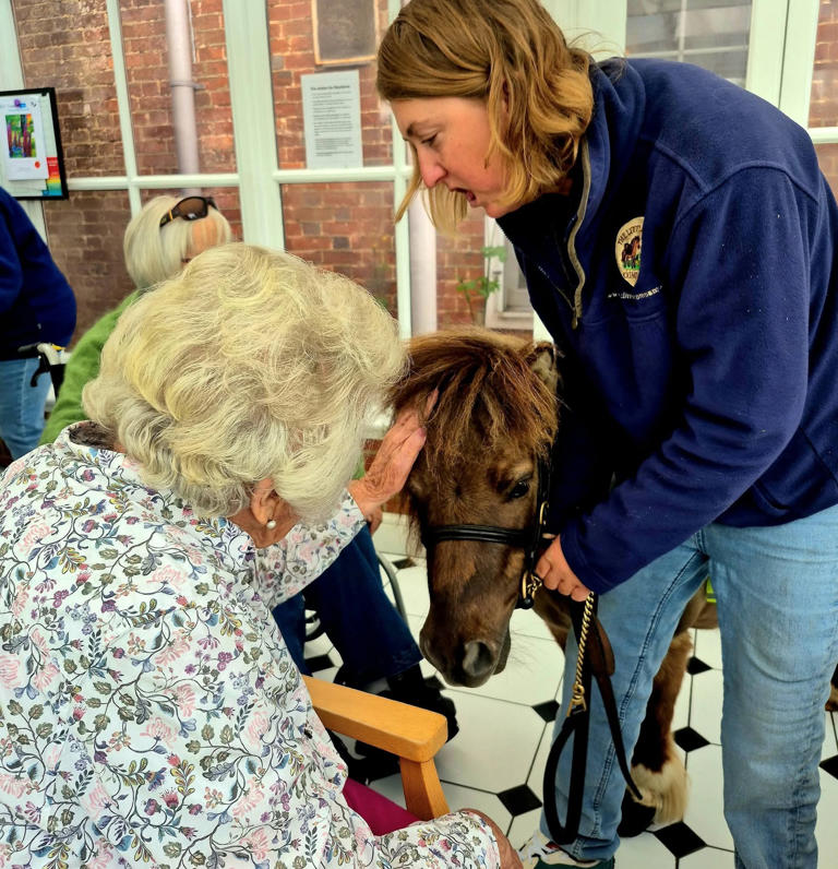 Little Hoof Company visits Chichester care home