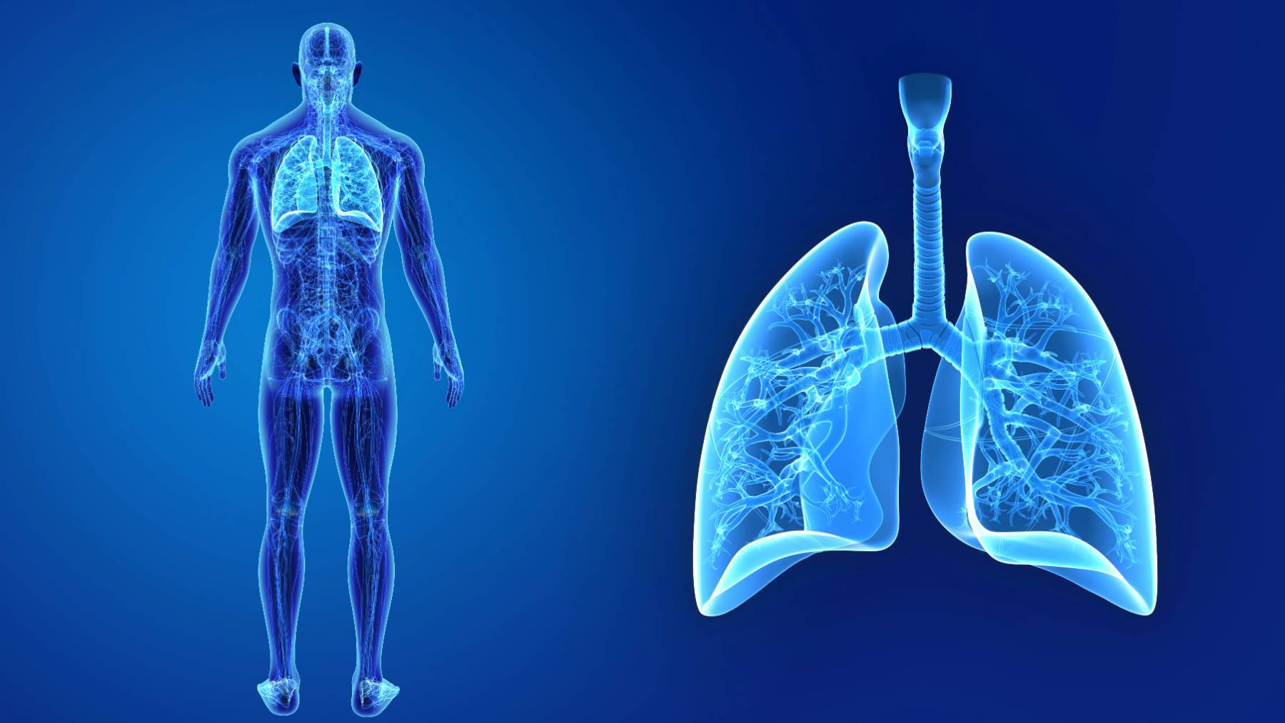El cigarrillo envejece los pulmones 16 años la edad biológica: la ...