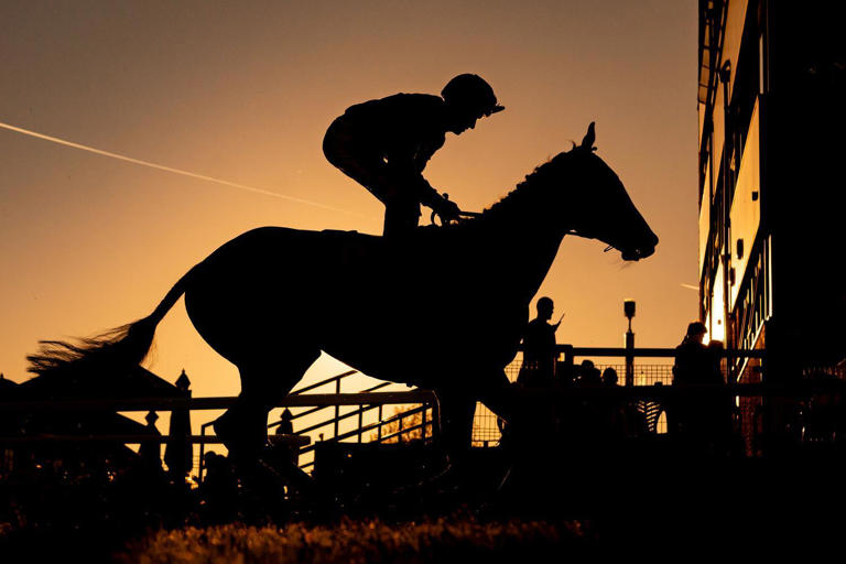 Brighton Racecourse ready to re-open on Friday following track recovery
